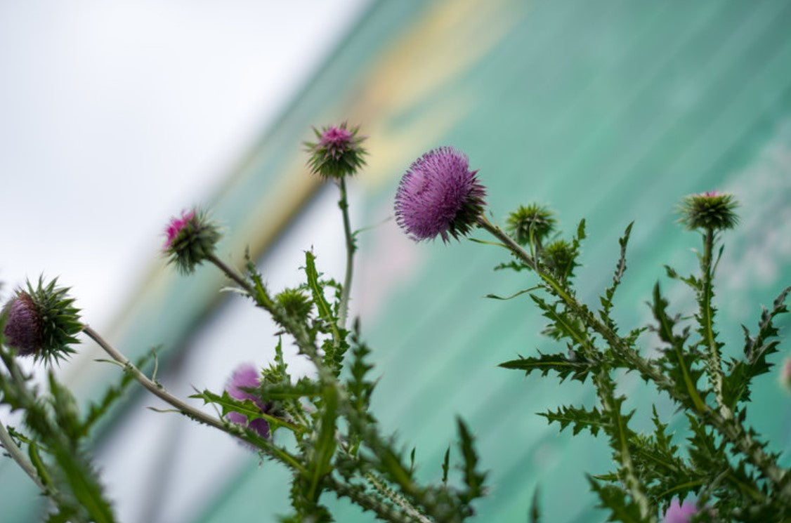 We Can Do Better Than Being Civil – Becca Stevens