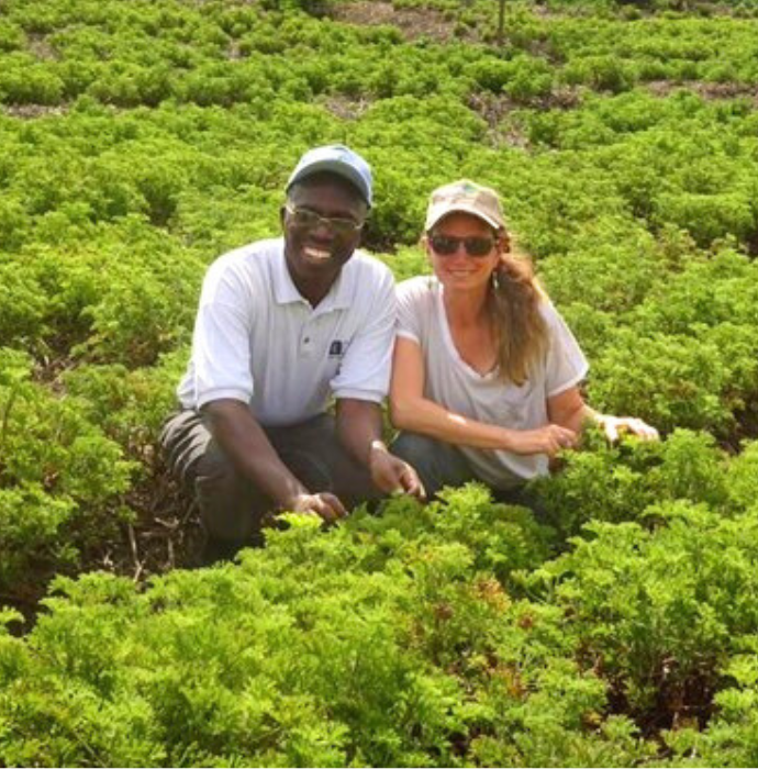 Patchouli Dreams – Becca Stevens